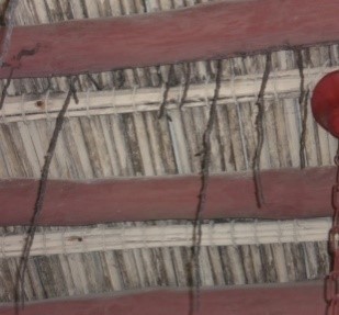Understanding Termite Infestations: Threats and Control Strategies